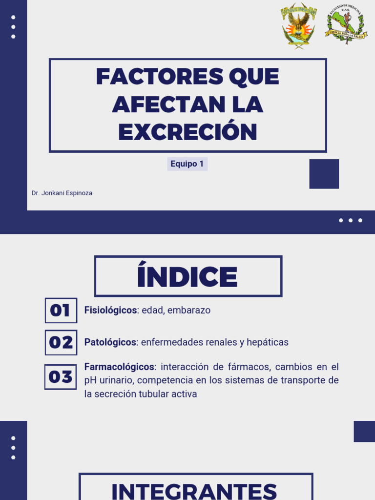 Factores que Afectan la Excreción Renal | PDF | Riñón | Excreción