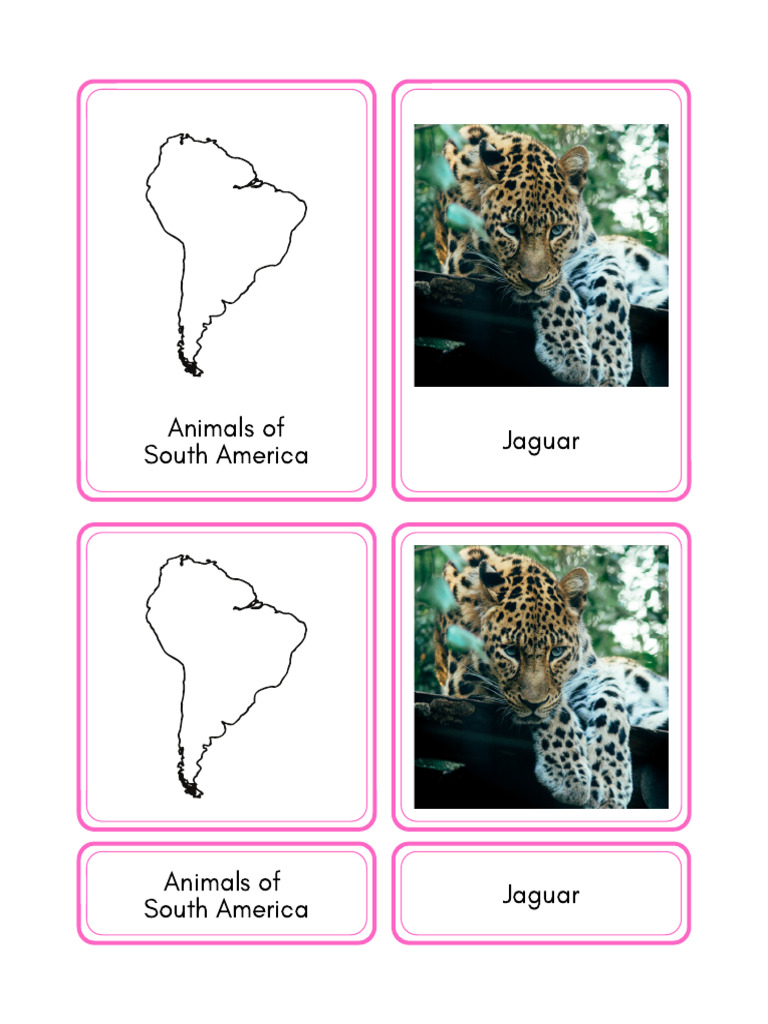 Unique Animals of South America | PDF