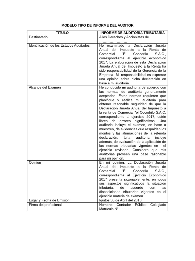 Modelo Tipo de Informe Del Auditor | PDF | Auditoría | Contralor