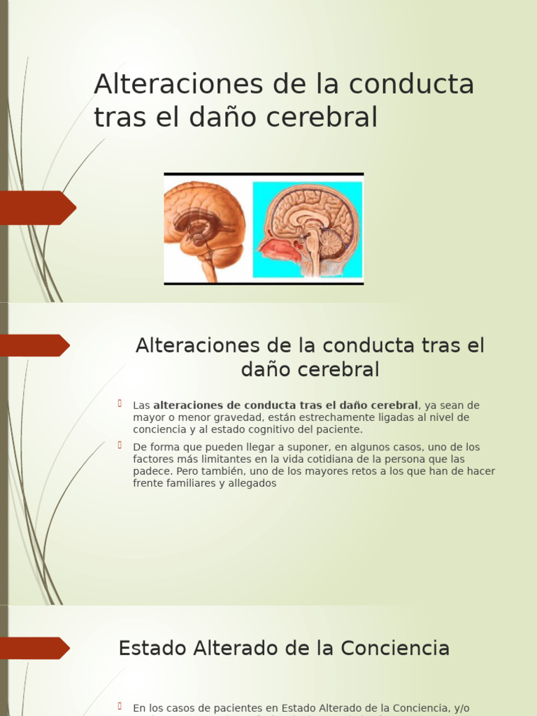 Alteraciones de La Conducta Tras El Daño Cerebral | PDF | Cerebro | Nervio