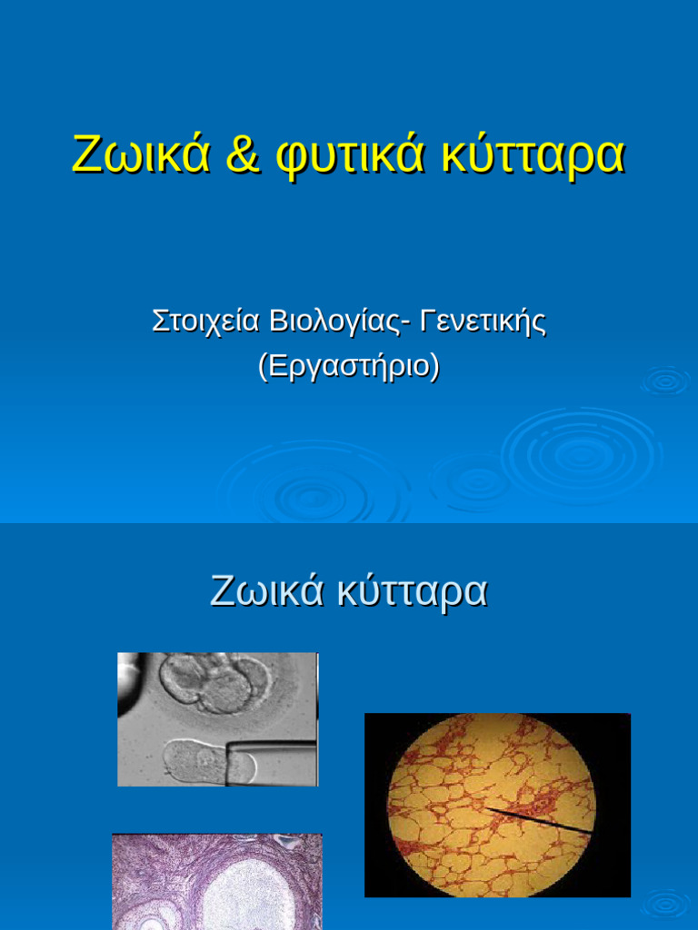 Ζωικά & φυτικά κύτταρα | PDF