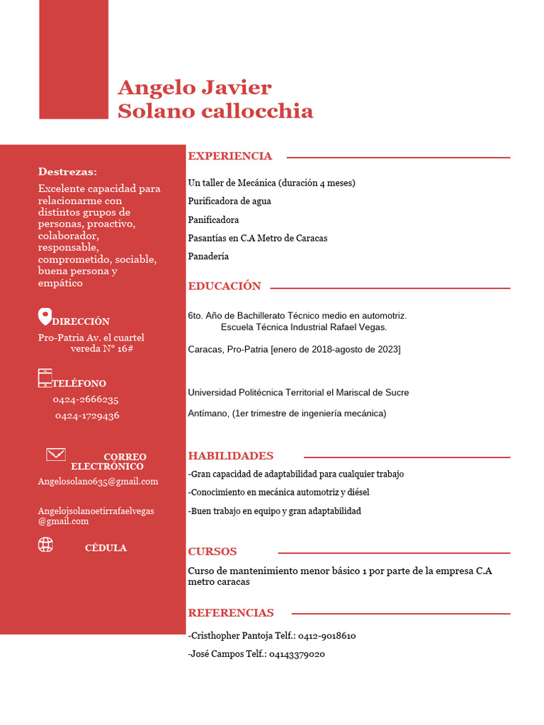 Perfil Profesional de Angelo Solano | PDF