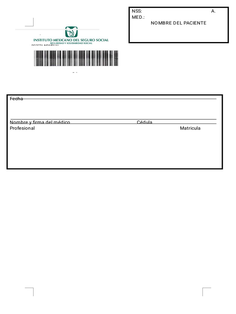 Receta Imss Editable | PDF