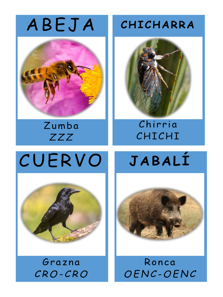Fichas Animales y Onomatopeyas | PDF
