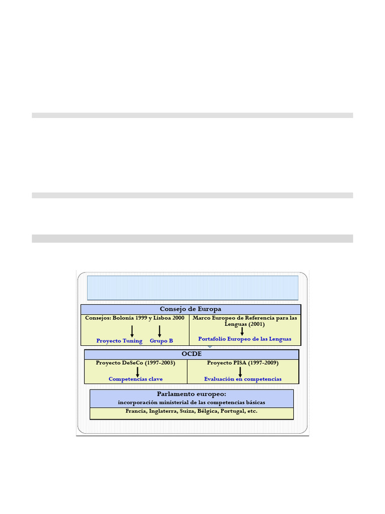 Las Competencias Básicas. Origen, Definición Estrategias Didácticas en Lengua y Literatura | PDF ...