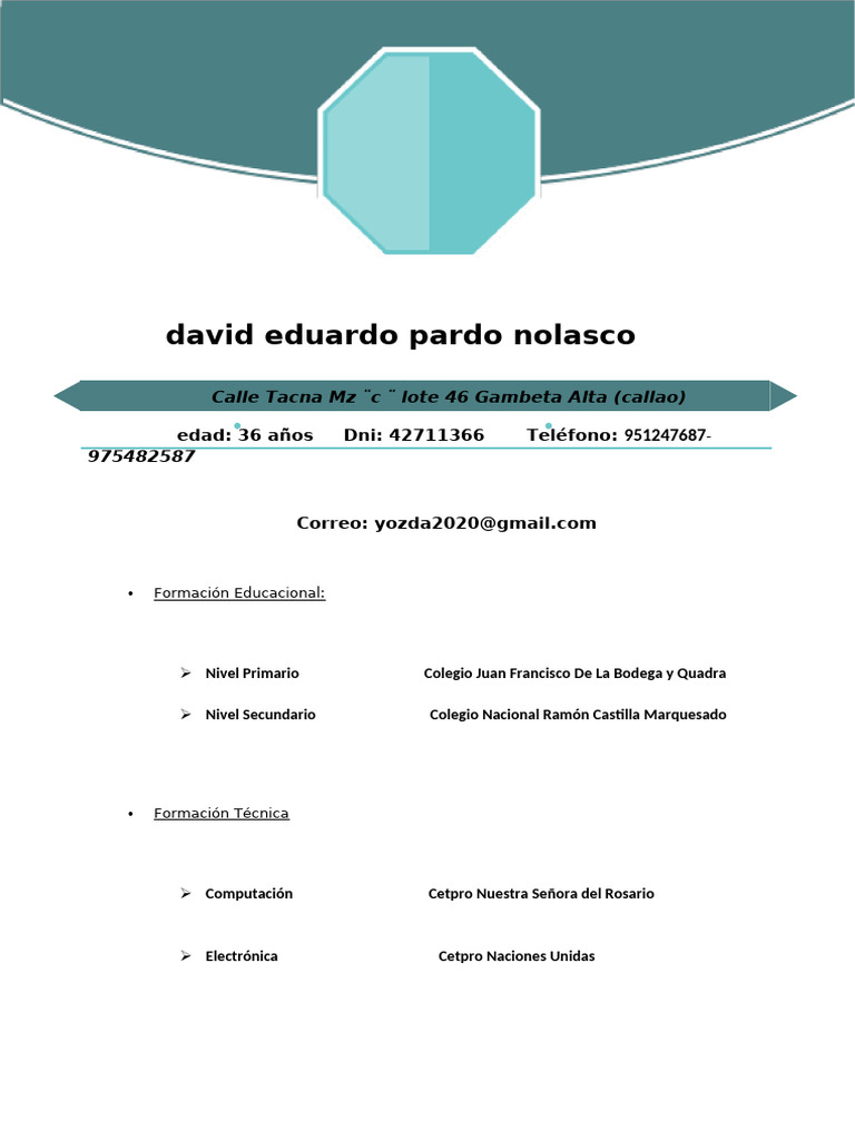 CV David | PDF
