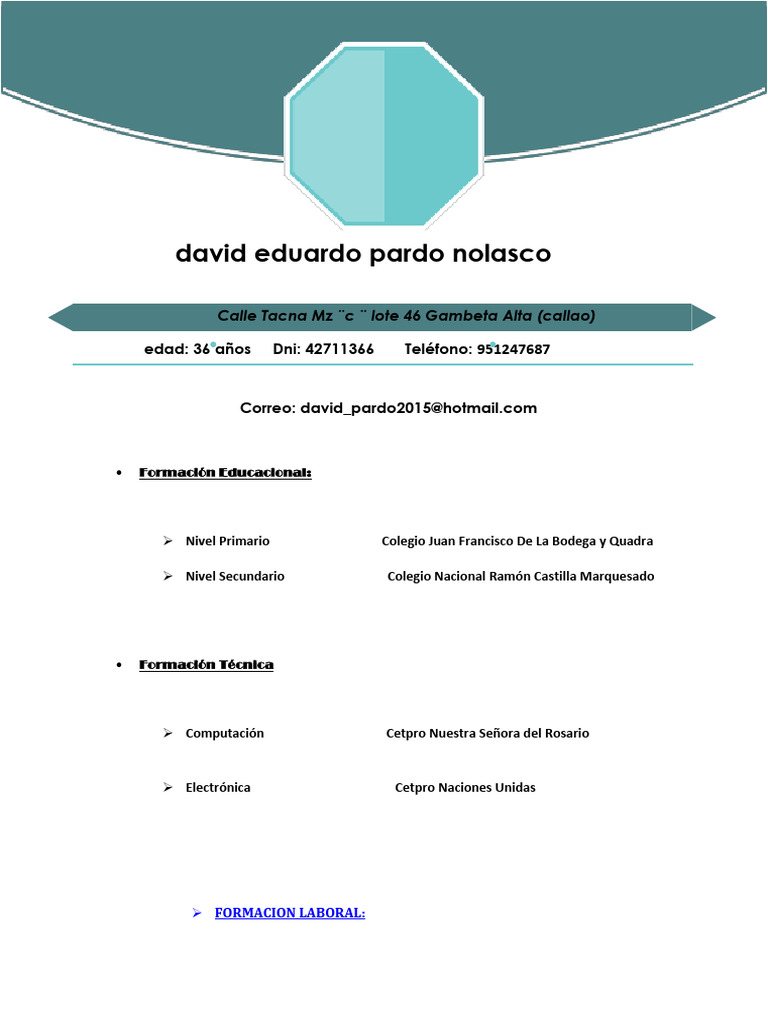 CV David | PDF
