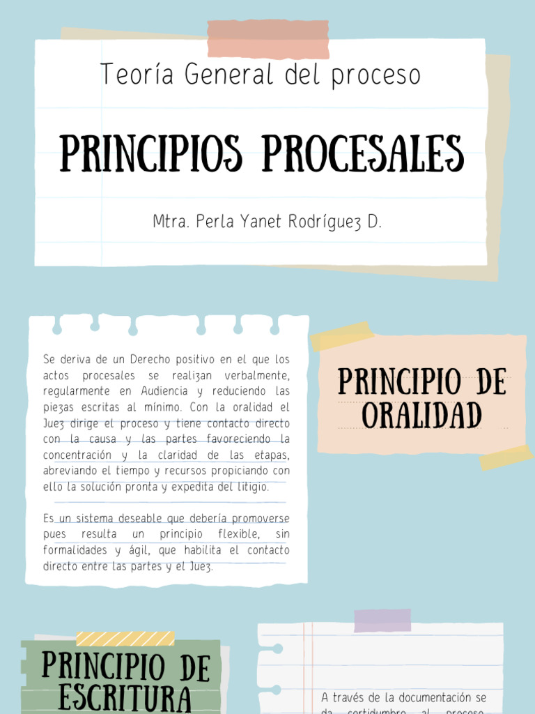 Principios Procesales | PDF | Ley procesal | Jurisdicción