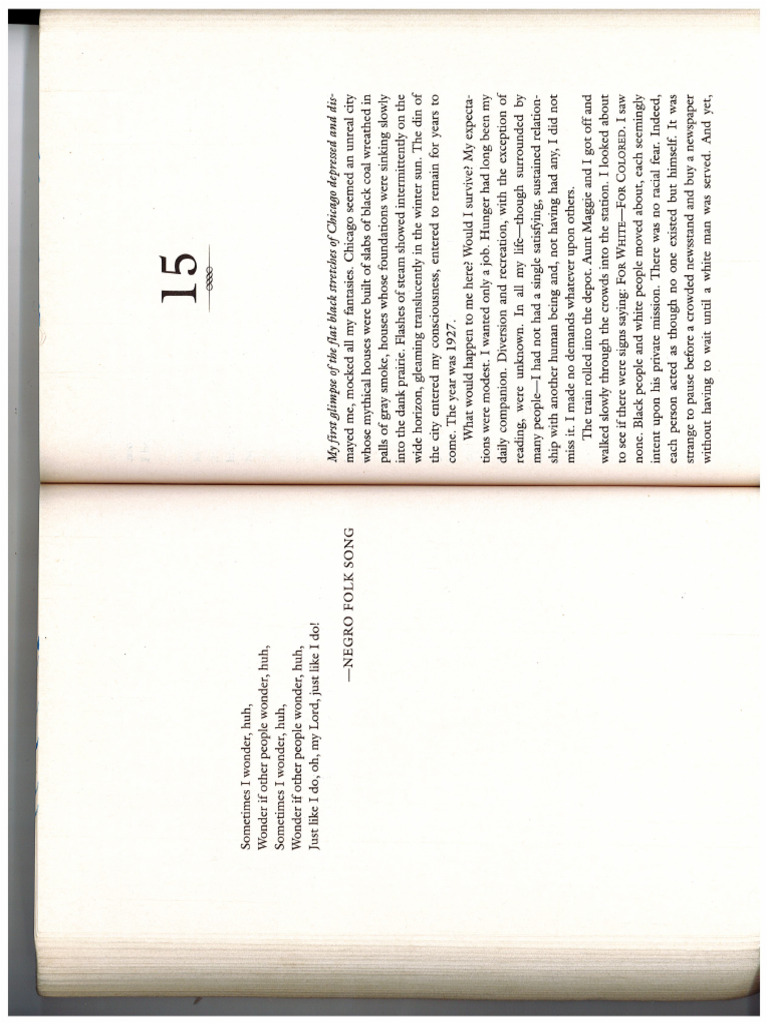 Black Boy Chapter 15 | PDF