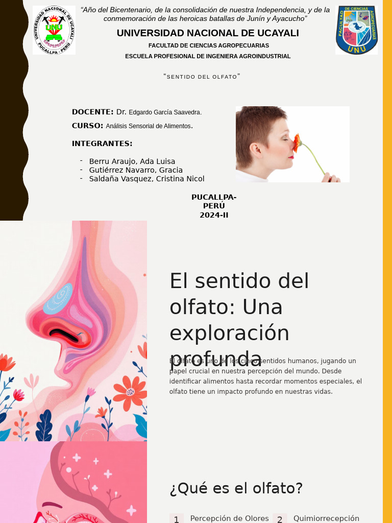 TEMA 6 - Sentido Del Olfato. | PDF | Sentidos | Olfato