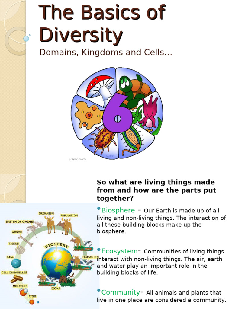 Understanding Life: Diversity Basics | PDF | Cell (Biology) | Bacteria