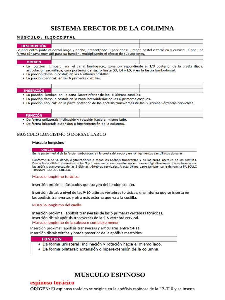 Sistema Erector de La Colimna | PDF