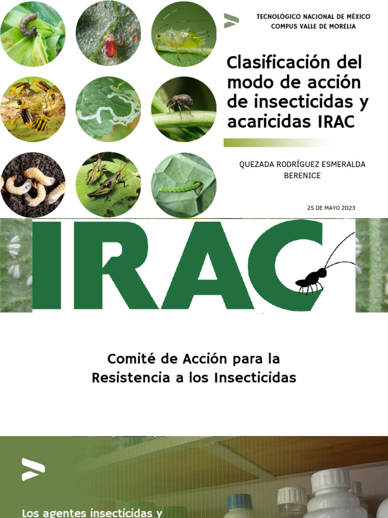 Clasificacion de Insecticidas-IRAC | PDF