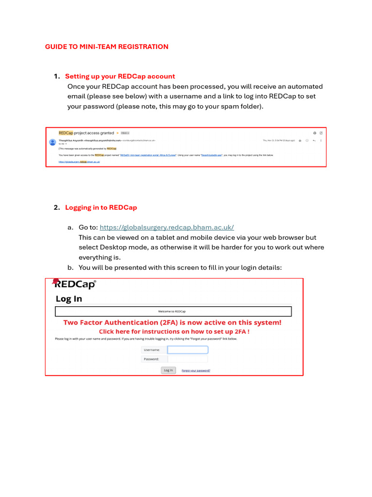 REDCap Mini-Team Registration Guide | PDF