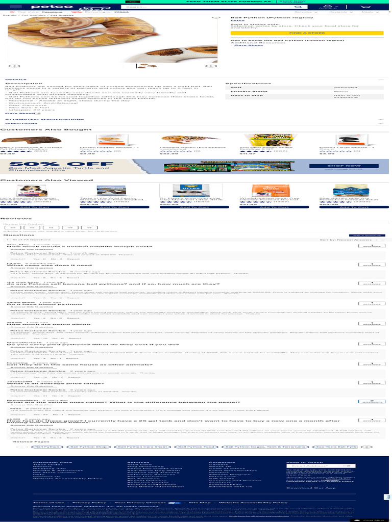 Ball Pythons For Sale Python Regius Petco | PDF