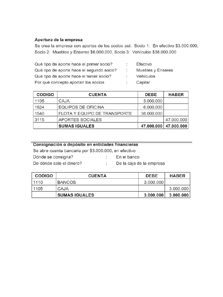 Ejemplo de Registros Contables | PDF