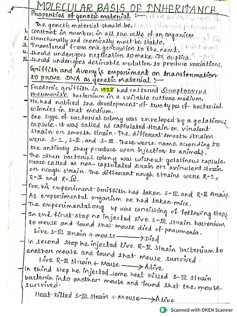 Molecular Basis of Inheritance Note Part-1 | PDF