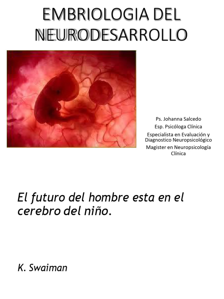 Embriologia Del Neurodesarrollo | PDF | Embrión | Cerebro