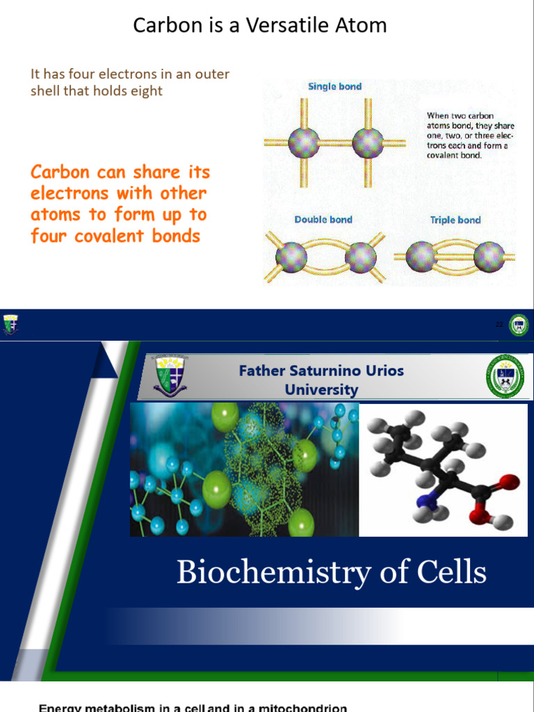 Basic Concepts of The Biochemistry of Cells and The Properties of Water ...