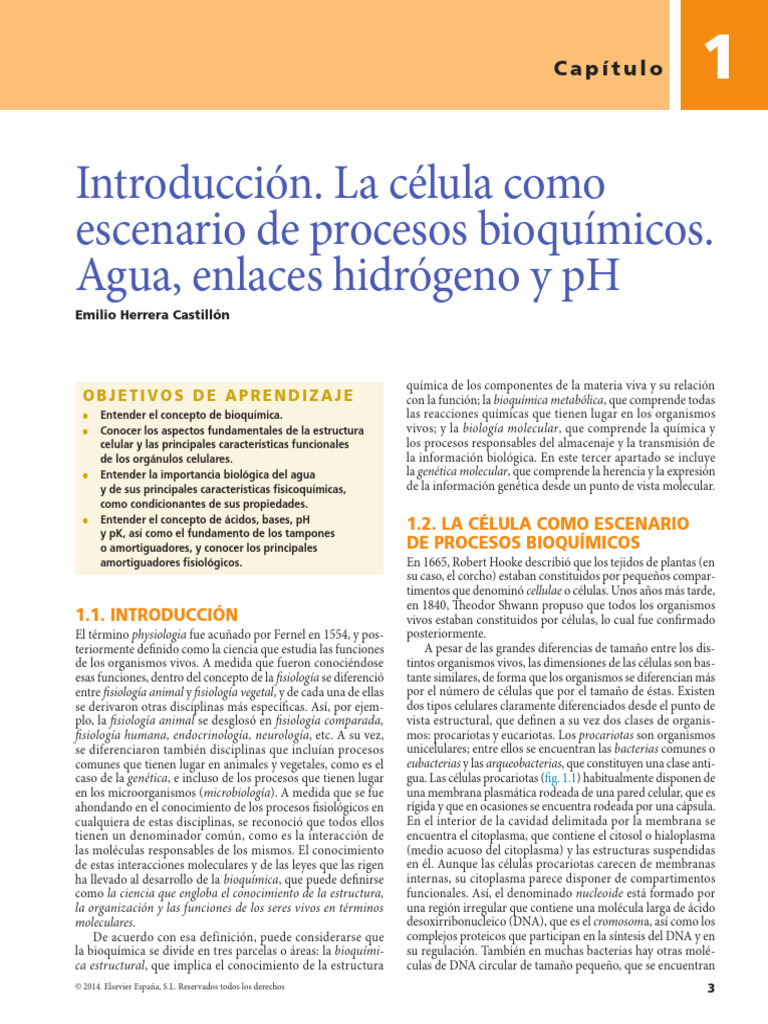 Procesos Bioquímicos | PDF | Solución tampón | Biología Celular)
