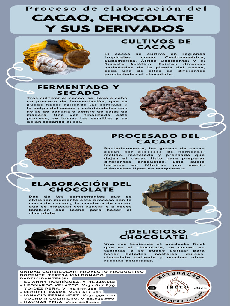 Proceso de Elaboración del Chocolate | PDF | Chocolate | Theobroma