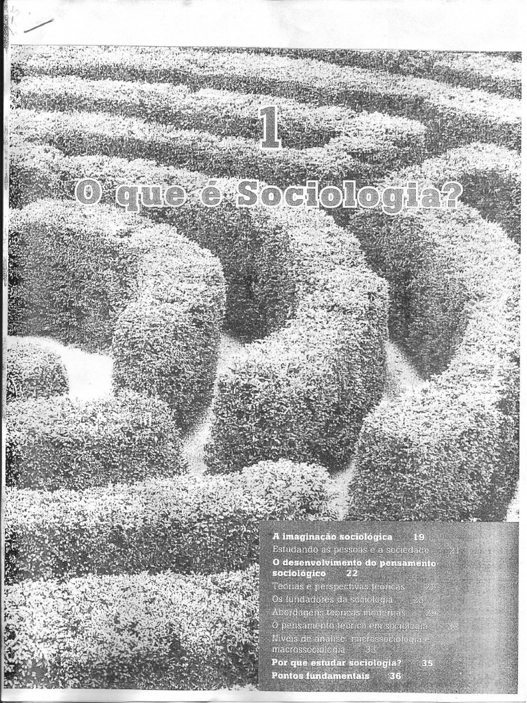 Cap 1 Cap 3 Giddens | PDF