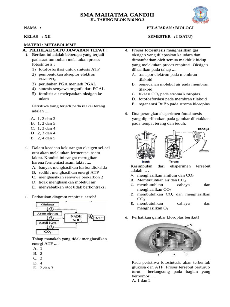 PTS Kelas 12 Igcse | PDF