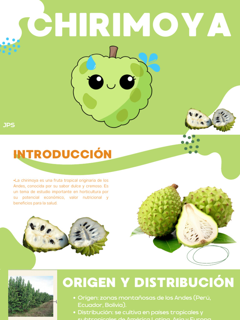 CHIRIMOYA | PDF | Siembra | Agricultura