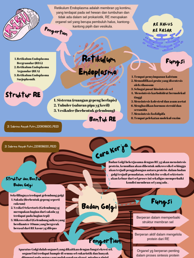 Sabrina Aisyah Putri-Mindmap Pertemuan Ke 4 RE DAN BADAN GOLGI | PDF