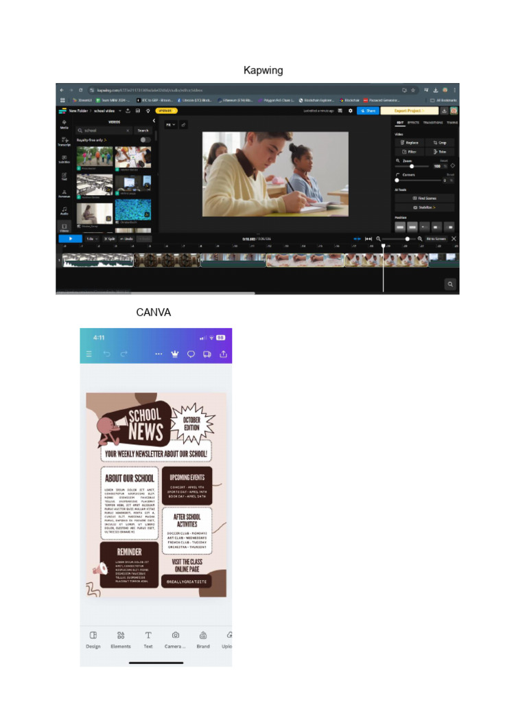 Application Software | PDF