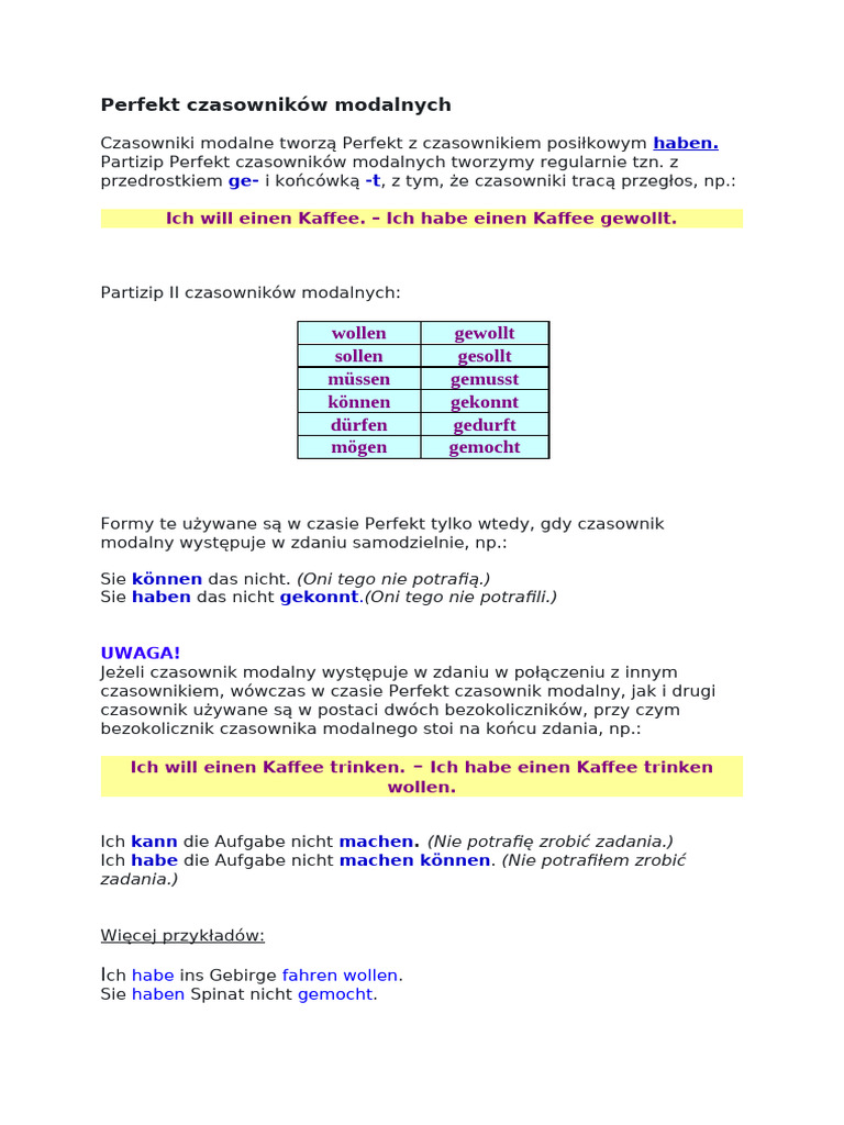 Perfekt Modalverben 17.10 | PDF