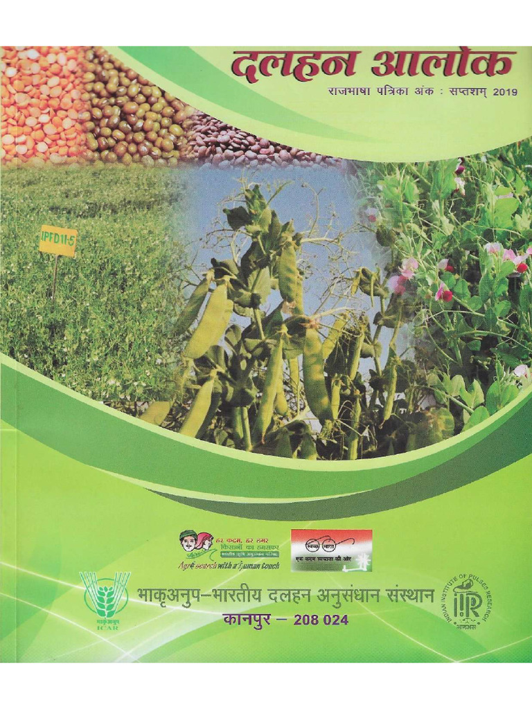 Dalhan Alok | PDF