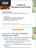 Steps To Construct A Phylogenetic Tree Using MEGA Software | PDF | Sequence Alignment ...