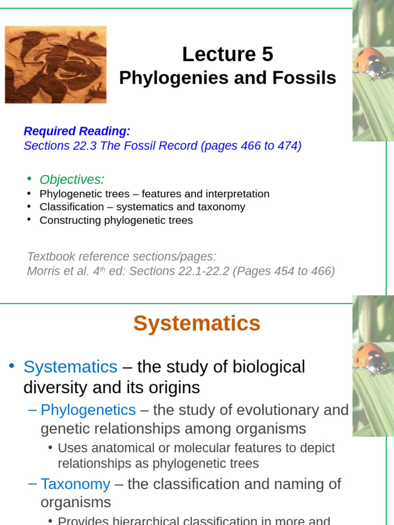 Lecture 5 - Phylogenies and Fossils - W2024 | PDF | Phylogenetic Tree | Phylogenetics