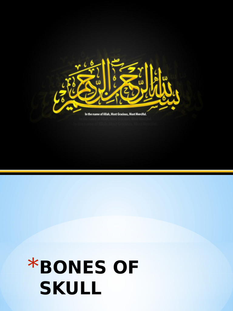 Bones of Skull Applied | PDF | Skull | Human Nose