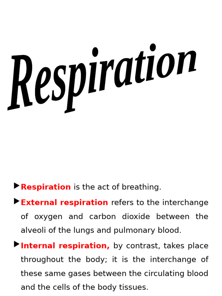 Respiration | PDF | Breathing | Lung