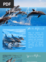 Dolphin Life Cycle | PDF | Mammals | Biology