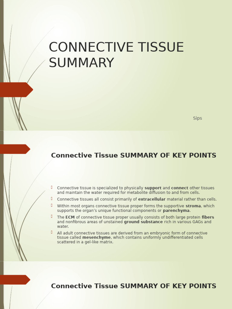 Connective Tissue Summary | PDF | Connective Tissue | Extracellular Matrix