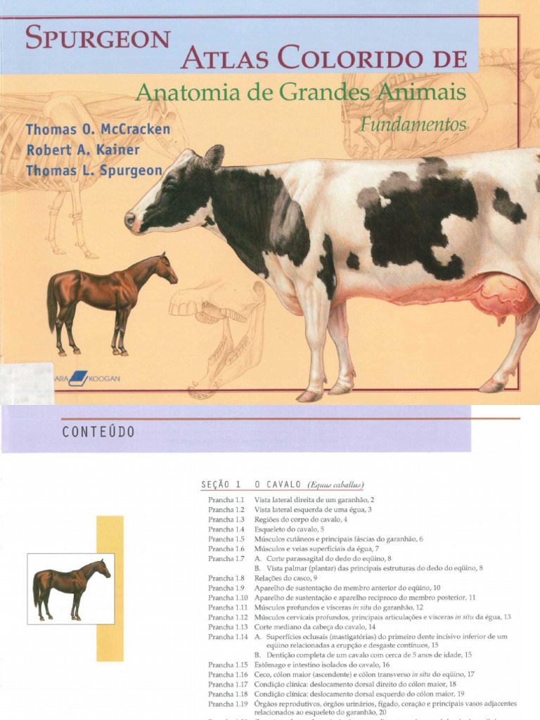 Atlas Colorido de Anatomia de Grandes Animais Thomas O McCracken | PDF