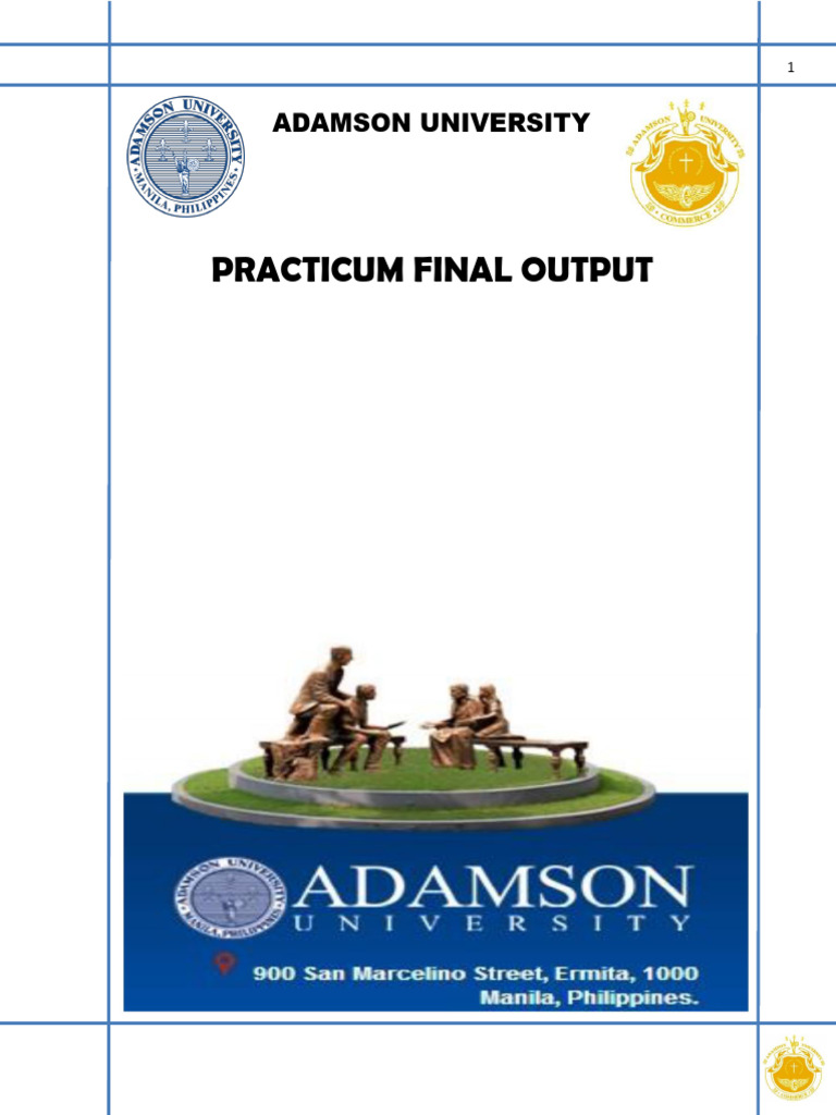 Practicum Portfolio Example and For Reference Only | PDF | Supply Chain ...