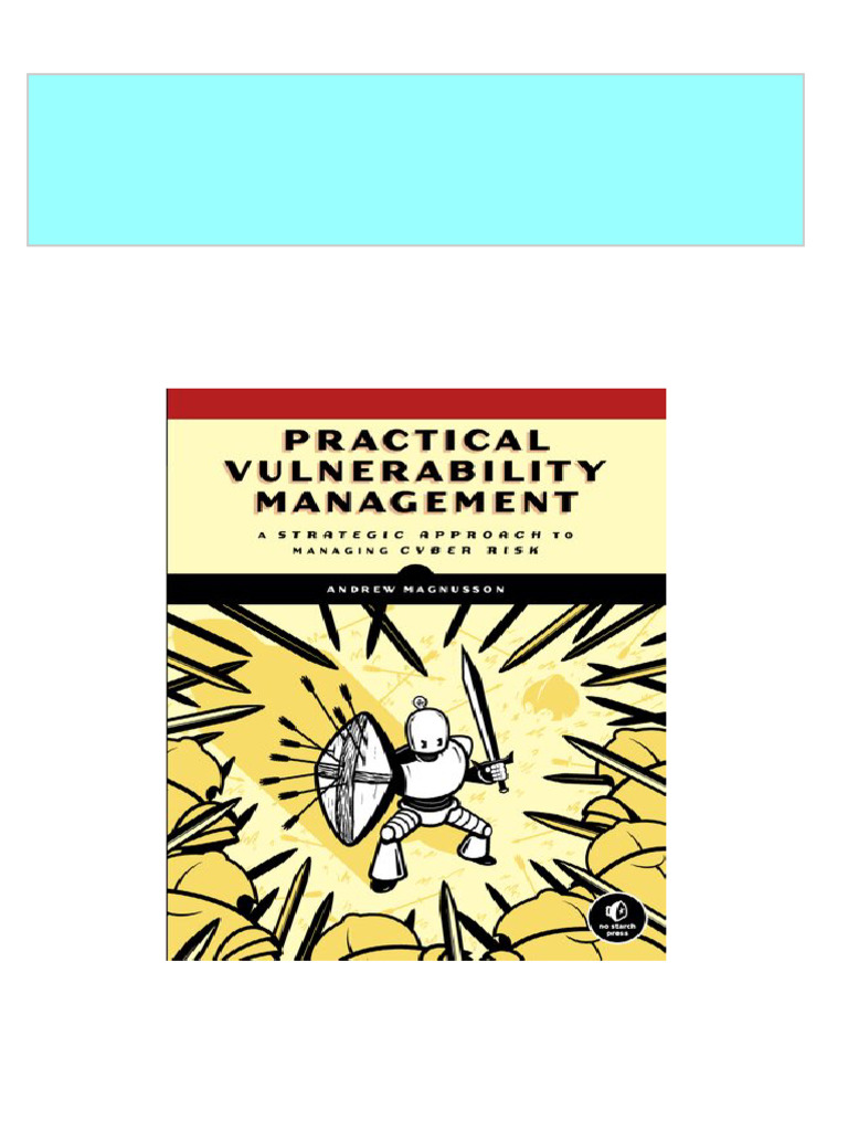 Get Practical Vulnerability Management A Strategic Approach To Managing Cyber Risk 1st Edition
