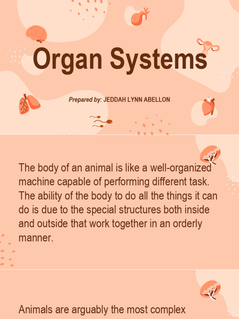 Organ Systems | PDF | Muscle | Endocrine System