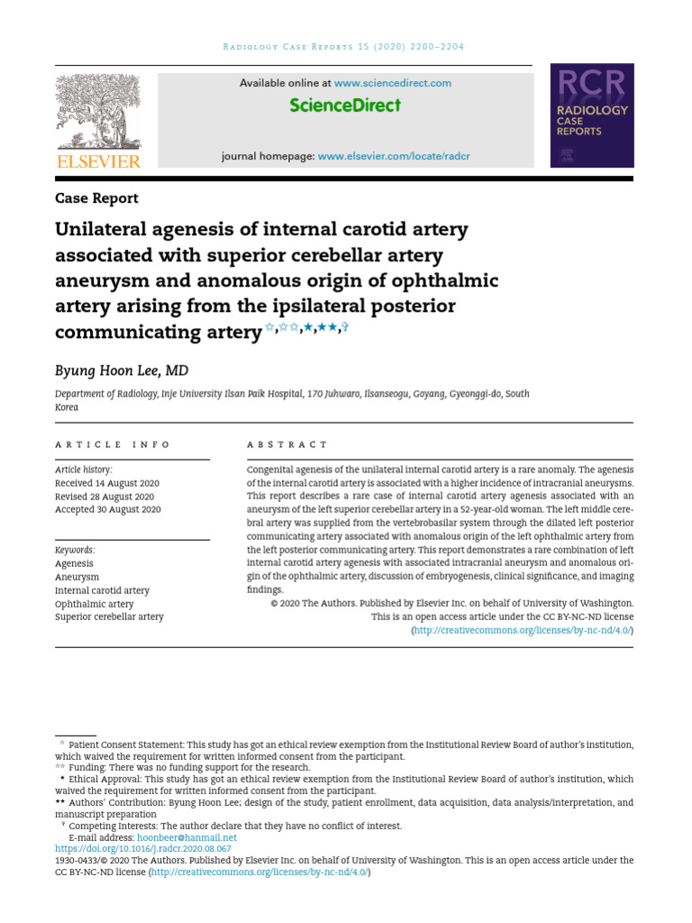 ARTICULO | PDF | Common Carotid Artery | Angiology