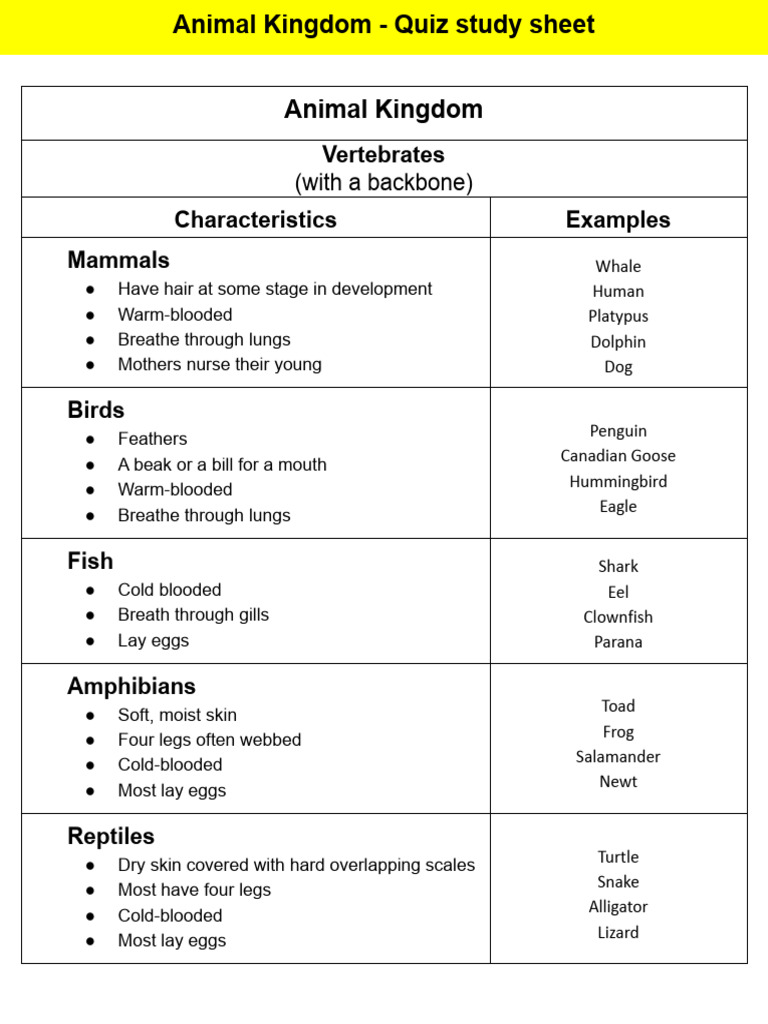 Animal Kingdom - Quiz Study Sheet | PDF | Egg | Skin