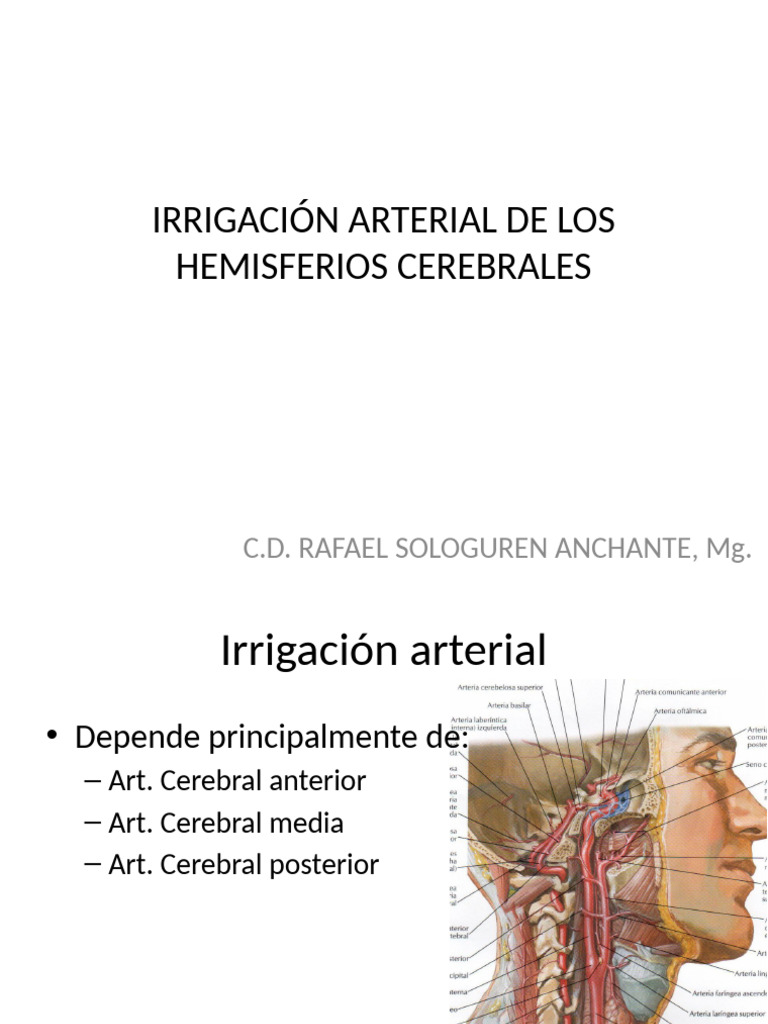 Neuro 4 Irrigacion | PDF