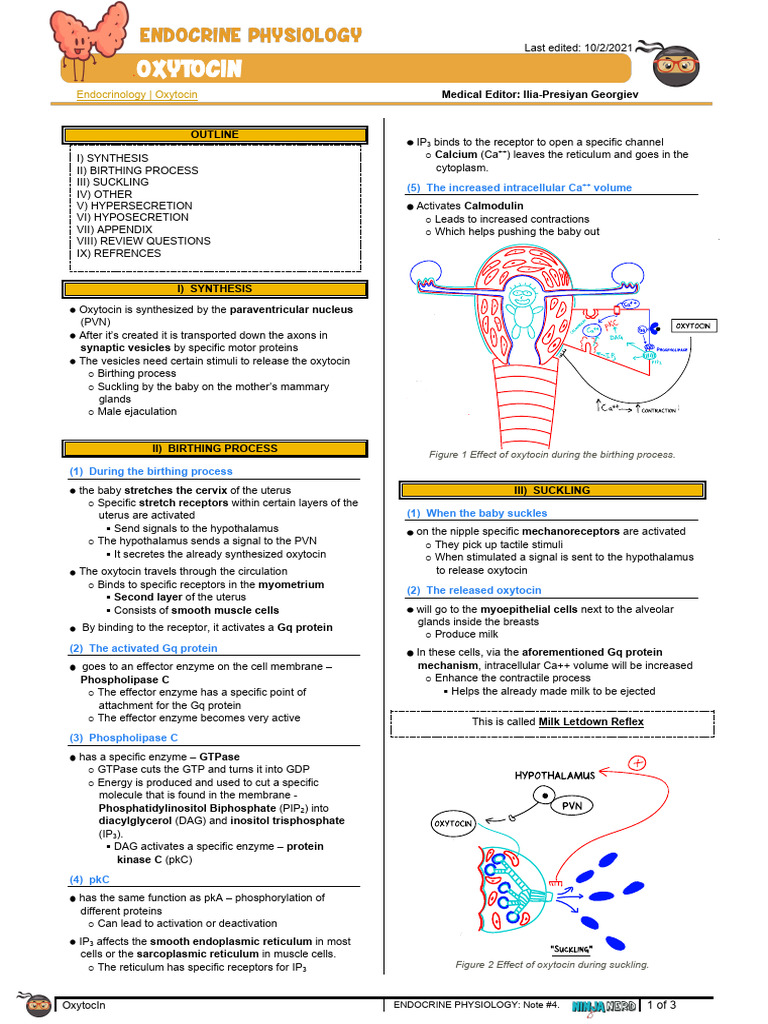 040 - Endocrinology Physiology) Oxytocin | PDF | Cell Signaling | Cell ...
