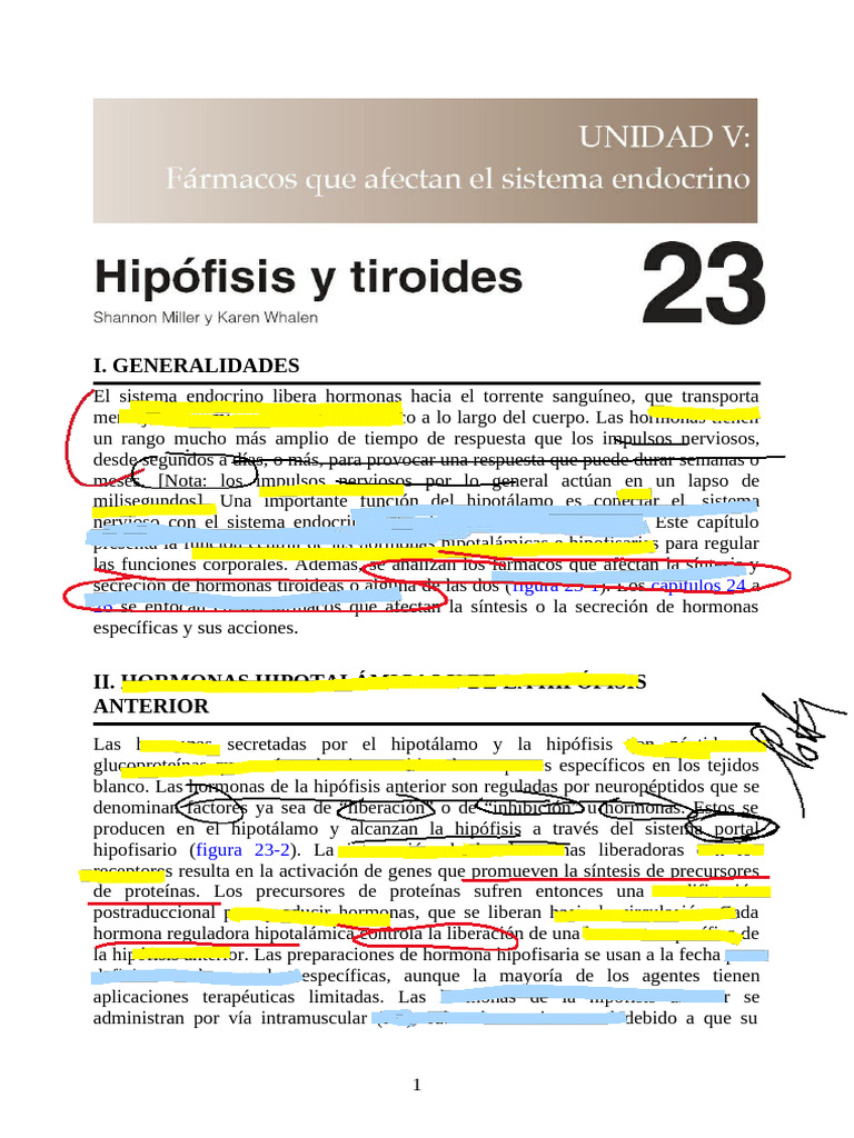 Funciones y Fármacos Endocrinos | PDF | Hormona adrenocorticotrópica | Hormona estimulante de la ...