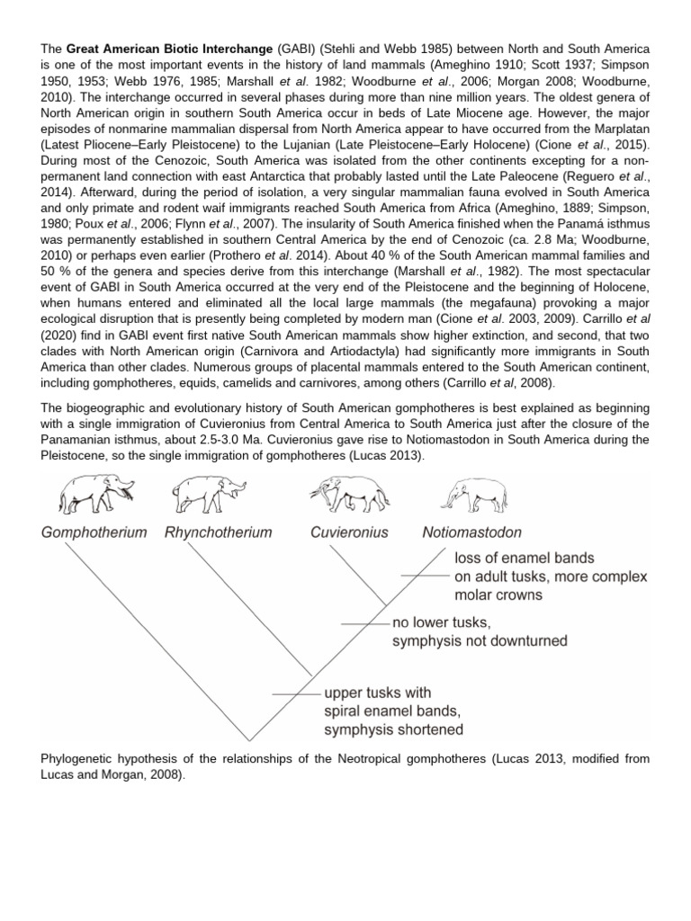 Great American Biotic Interchange-LEC | PDF | Earth Sciences
