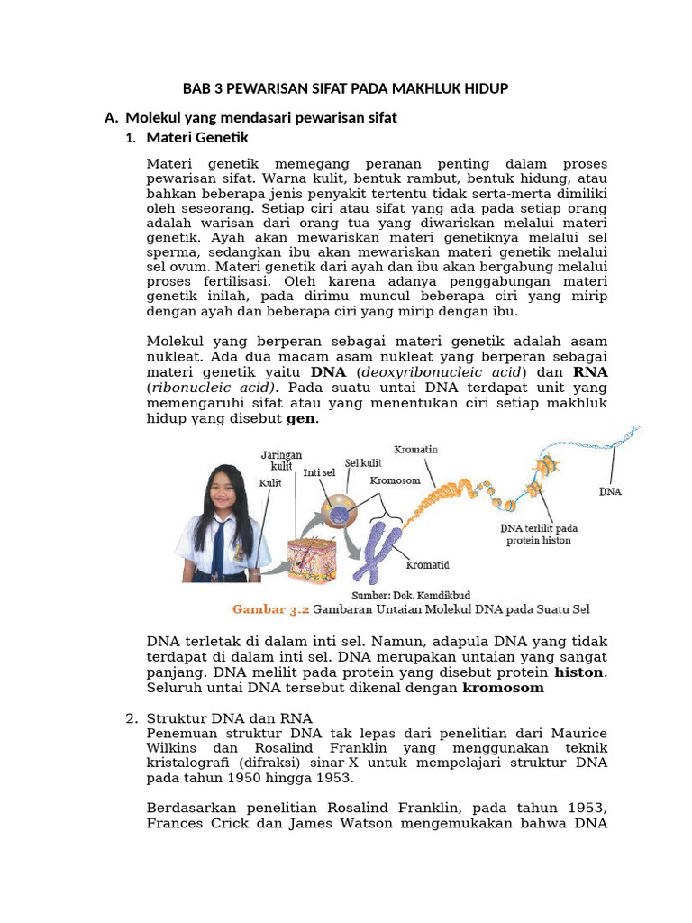 Bab 3 Pewarisan Sifat Pada Makhluk Hidup | PDF
