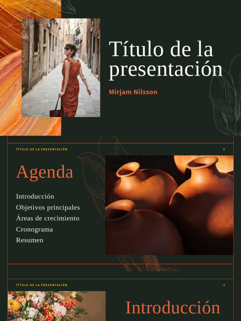 Ráfaga Naranja | PDF | Marketing | Procesos de negocio